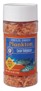 Frozen Fish Food Supplier – Brine Shrimp Food – SFBB