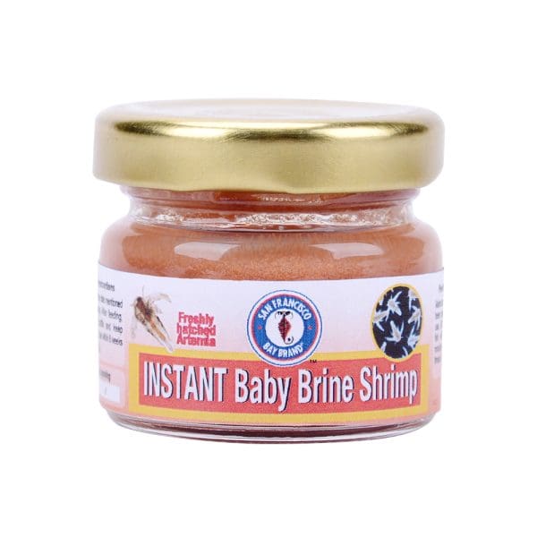 INSTANT BABY BRINE SHRIMP | SFBB
